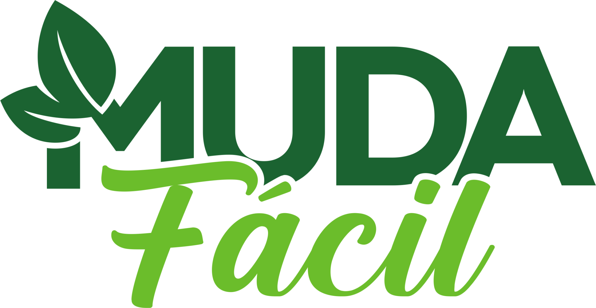 Mudas De Banana Muda Fácil Mudas De Banana
